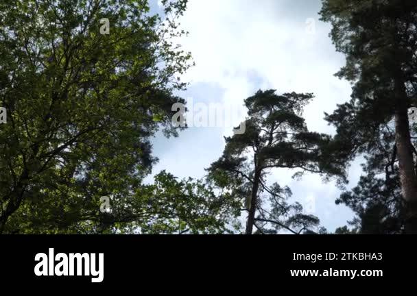 Cloudy day windy movement Stock Videos & Footage - HD and 4K Video ...