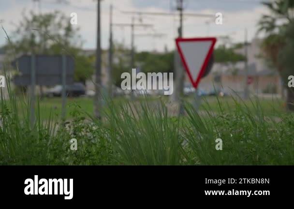 Tall roadside sign Stock Videos & Footage - HD and 4K Video Clips - Alamy