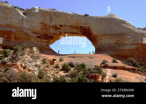 Arizona wilson Stock Videos & Footage - HD and 4K Video Clips - Alamy