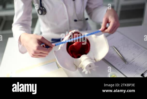 Gynecologist measures dimensions of pelvis and transverse dimensions of ...