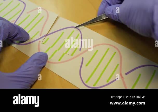 Crispr cas9 genome editing Stock Videos & Footage - HD and 4K Video ...