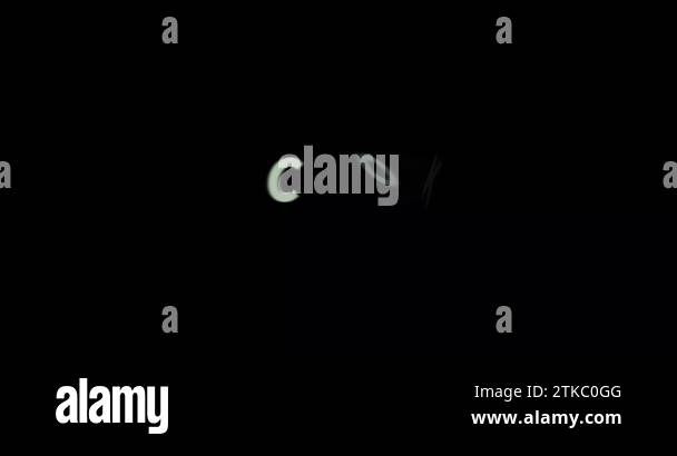Cook text animation on black background. Modern text animation, written ...