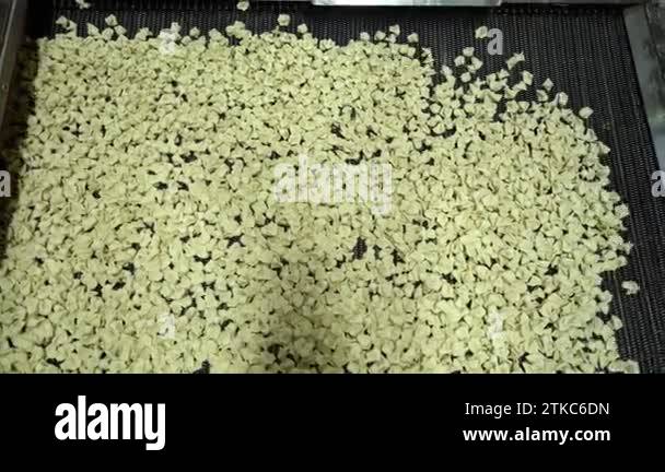 Close Up Footage of the Automatic Machine Production Process at a ...