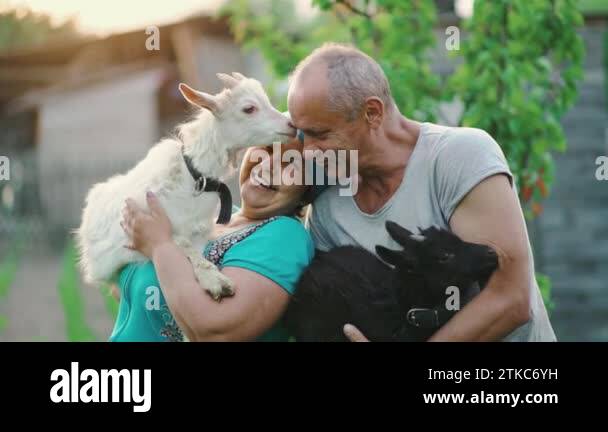 Man and woman farmers smiling looking at the camera and holding goatlings in their arms. A happy ...
