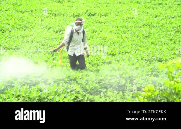 August scene farmer harvest farming Stock Videos & Footage - HD and 4K ...