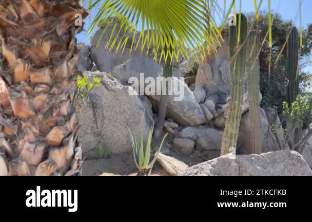 Mount lucas Stock Videos & Footage - HD and 4K Video Clips - Alamy