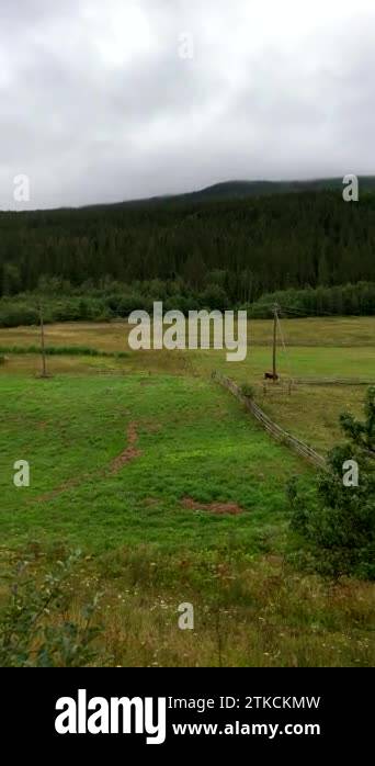 Misty farm land Stock Videos & Footage - HD and 4K Video Clips - Alamy