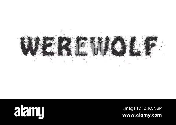 Animated Halloween Bat Typeface Text Forming the Word Werewolf Stock ...
