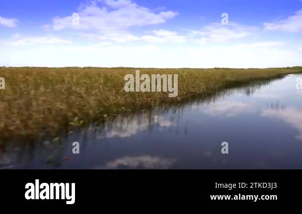 Riding over sawgrass in everglades Stock Videos & Footage - HD and 4K ...
