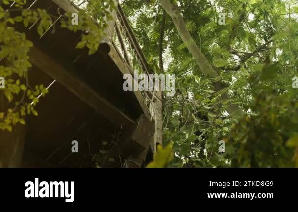 A video showing the railings and bottom part of the wooden viewing ...