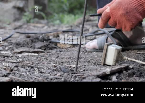 Extraction of worms by electric current, at 220 volts. Dig up or lure ...
