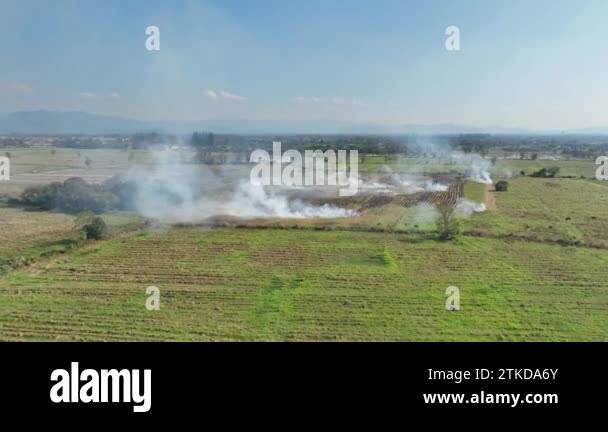 Crop burning india Stock Videos & Footage - HD and 4K Video Clips - Alamy