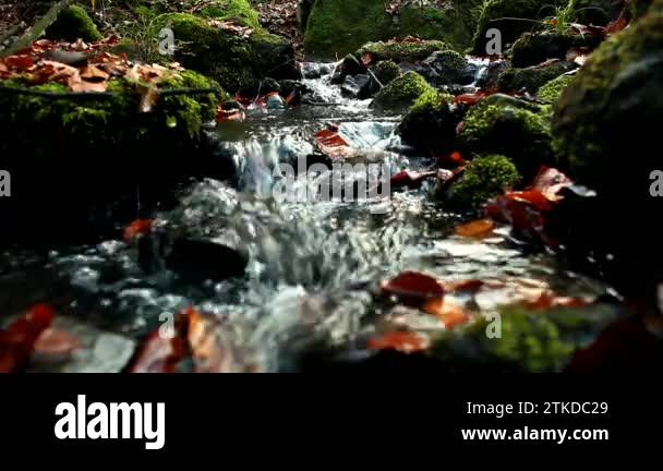 Crystal spring Stock Videos & Footage - HD and 4K Video Clips - Alamy