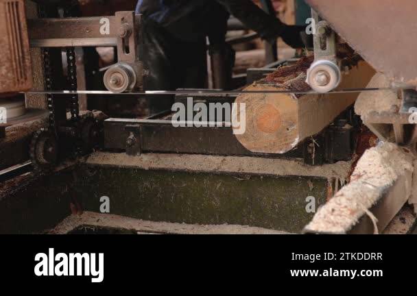 Processing and sawing timber at a sawmill. Sawing wood on a power ...