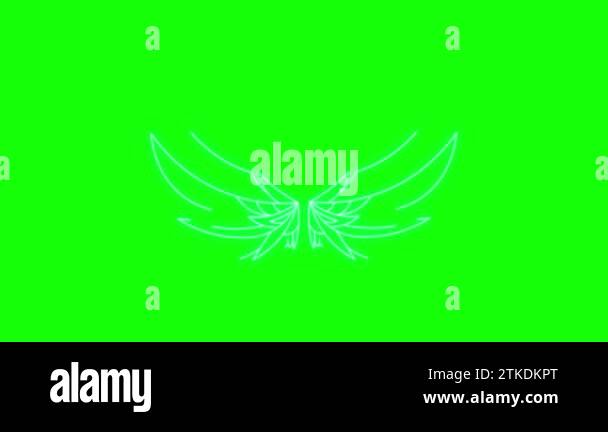 wings animation with neon effect flapping wings with green screen ...