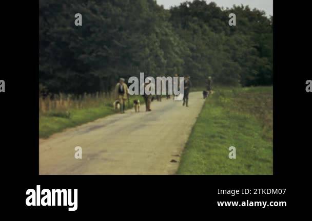 1960s hunting Stock Videos & Footage - HD and 4K Video Clips - Alamy