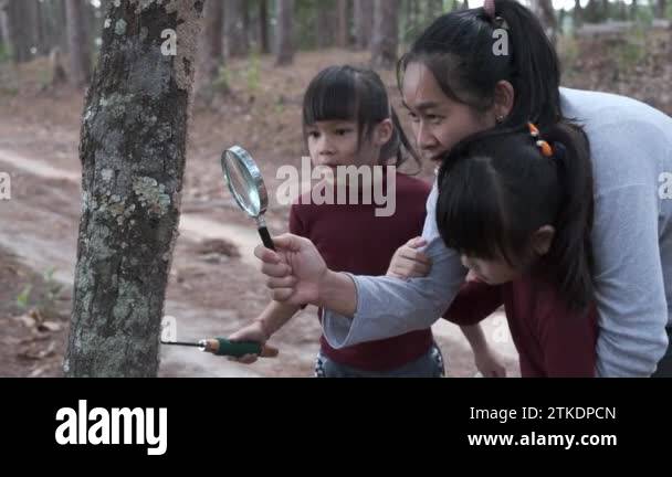 Mother daughter exploring nature Stock Videos & Footage - HD and 4K ...