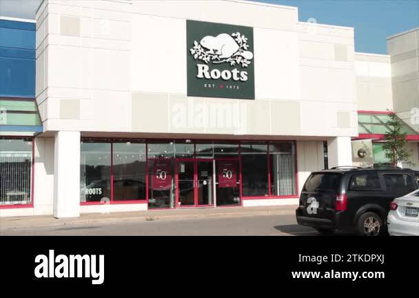 Roots logo Stock Videos & Footage - HD and 4K Video Clips - Alamy