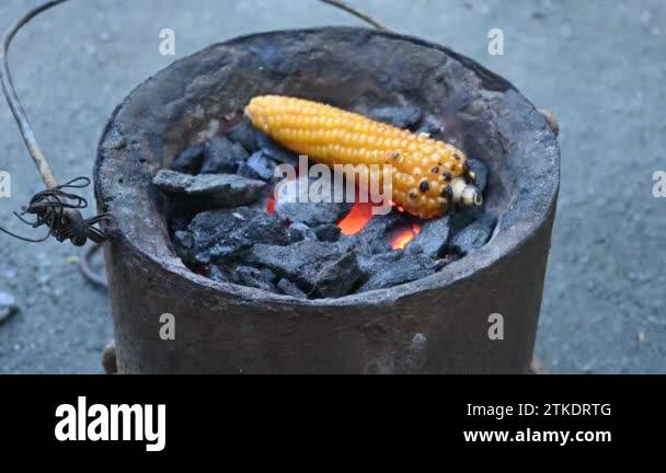 Grilled corn cobs on coal stove.Fresh roasted corncobs on coal fire ...