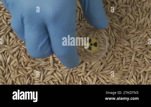 Genetically modified products concept. Chemicals in the agricultural ...