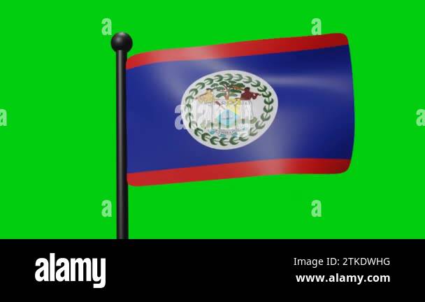 3D Flag Waving on Green Screen Background for Game Flag Item or Symbol ...
