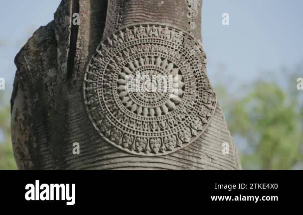 Naga Serpent Seven Heads Snake God Sculpture at Angkot Wat Siem Reap ...