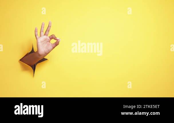 Okay gesture. Perfect choice. Approval satisfaction. Female hand ...