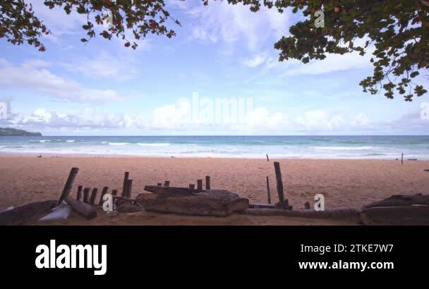 Amazing beach on the Islands with trees leaves frame on the ocean ...