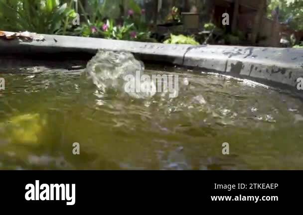 Water bubbling up in sugar Stock Videos & Footage - HD and 4K Video ...