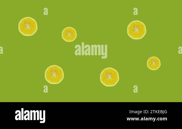 Lemon slices animation on green screen background. Citrus fruit lemon ...