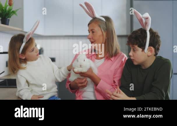 Happy white rabbit Stock Videos & Footage - HD and 4K Video Clips - Alamy