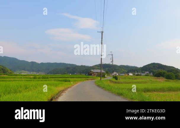 A single path in the rice paddies of a Japanese farming village in ...