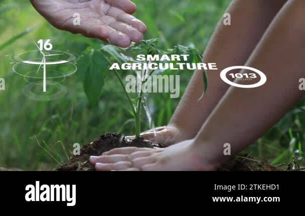 Smart digital agriculture technology by futuristic sensor data collection management by ...