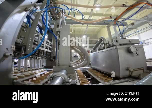 A modern conveyor for the production of ice cream. Ice cream production ...