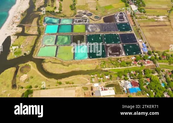 Top view of Pump ponds at a shrimp farm in the Philippines.Prawn farm ...