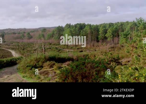 Frensham ponds Stock Videos & Footage - HD and 4K Video Clips - Alamy