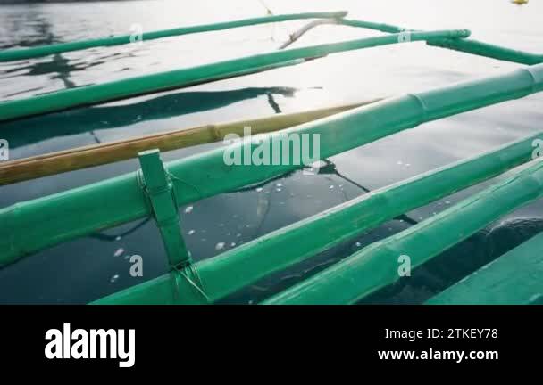 Bamboo fusion Stock Videos & Footage - HD and 4K Video Clips - Alamy