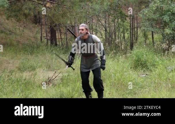 Viking scars Stock Videos & Footage - HD and 4K Video Clips - Alamy