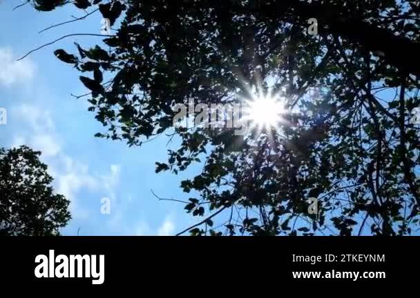 Low angel view of blue sky Stock Videos & Footage - HD and 4K Video ...