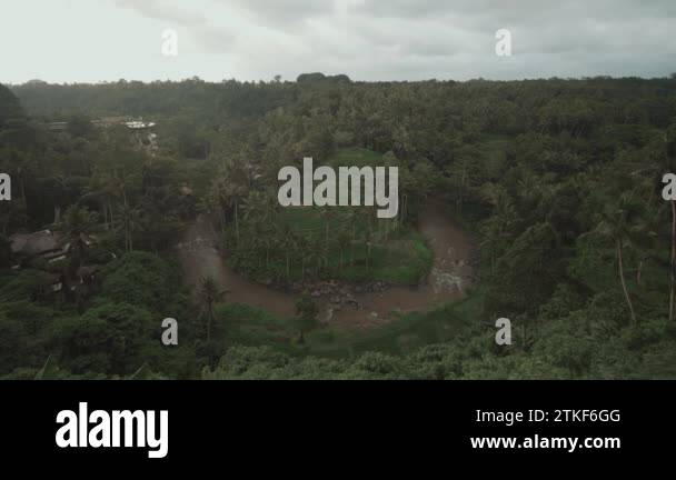 Breathtaking View of Green Lush Jungle, River, and Ricefield from Sayan ...