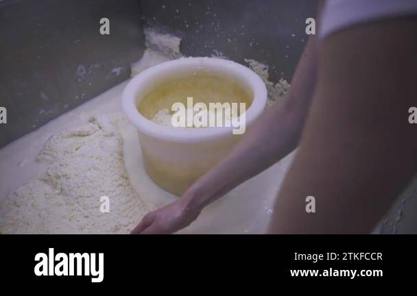 Caucasian women working at the dairy farm on the production line ...