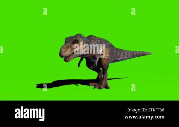 Tyrannosaurus rex Looking on Green Screen Stock Video Footage - Alamy
