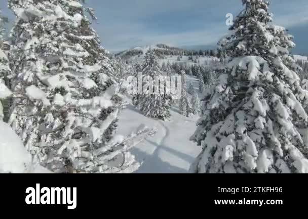 FPV DRONE: Beautiful mountain trees and glades covered with fresh snow blanket. Winter ...
