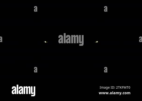 Car headlight blinking in Dark. Sports car Headlight. Switching of car ...
