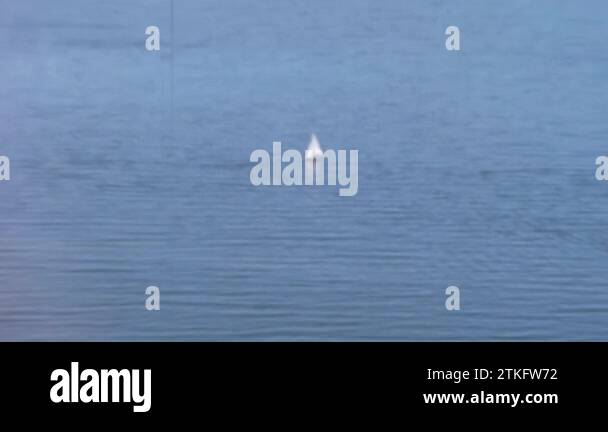 Madison lake Stock Videos & Footage - HD and 4K Video Clips - Alamy