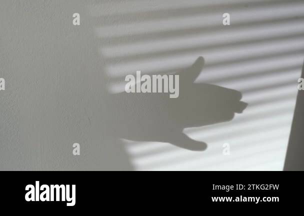 human hand shows shadow play, silhouette dog barking. shadow on wall ...