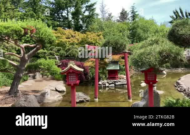 Japanese lanterns trees Stock Videos & Footage - HD and 4K Video Clips ...