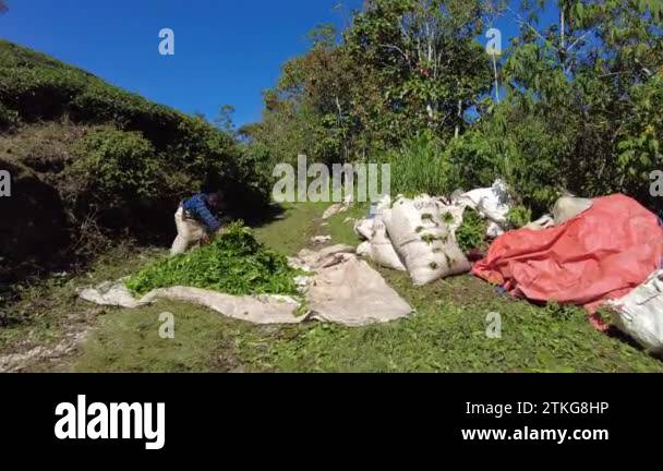 Modern production methods Stock Videos & Footage - HD and 4K Video ...