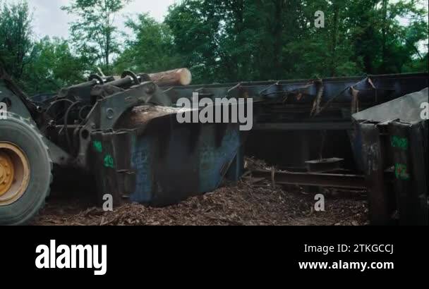 Transporting raw wood truck to timber factory. Log grab tractor elevate ...