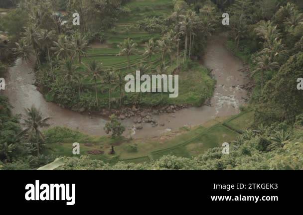 Breathtaking View of Green Lush Jungle, River, and Ricefield from Sayan ...